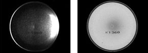 Dome Illuminators - US Auto Corp